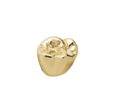 Full Cast – Studio360 Dental Lab